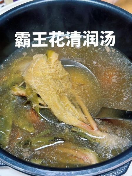 霸王花煲汤有什么功效_霸王花煲汤适合什么人喝-第3张图片-山城妙识