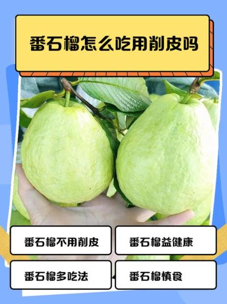 番石榴怎么吃_番石榴的正确吃法-第2张图片-山城妙识