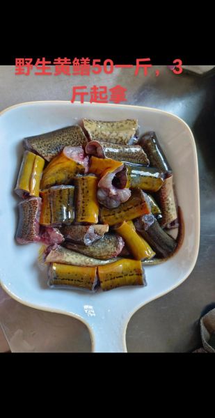 黄鳝鱼多少钱一斤_黄鳝鱼价格行情-第1张图片-山城妙识 黄鳝鱼多少钱一斤_黄鳝鱼价格行情-第1张图片-山城妙识