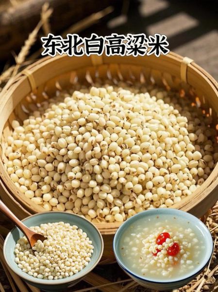 高粱米粥怎么煮_高粱米粥的功效与作用-第2张图片-山城妙识