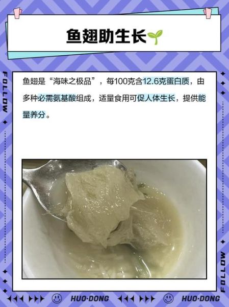鱼翅哪些人不宜吃_痛风孕妇能吃吗-第2张图片-山城妙识