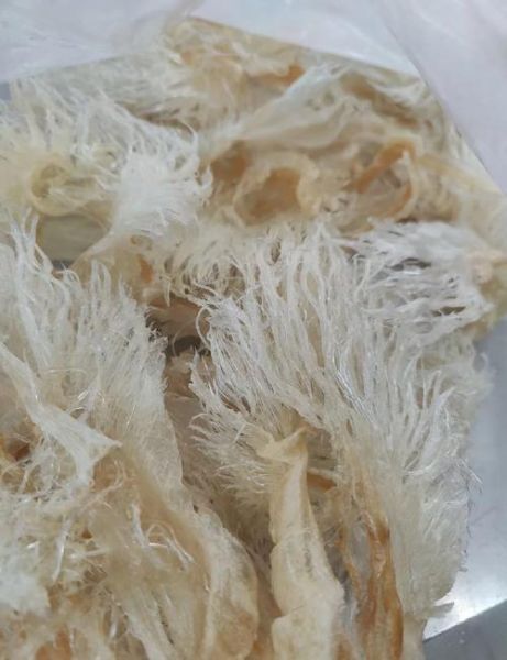 鱼翅哪些人不宜吃_痛风孕妇能吃吗-第1张图片-山城妙识