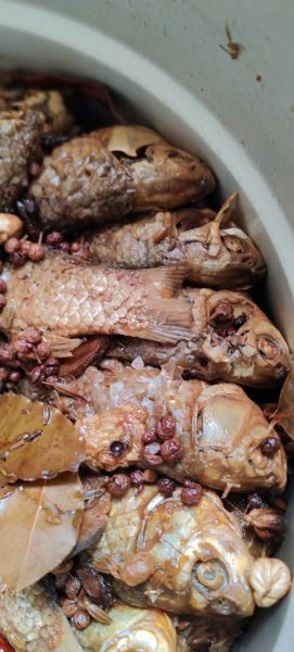 炖糟鱼怎么做_炖糟鱼最正宗的做法-第1张图片-山城妙识