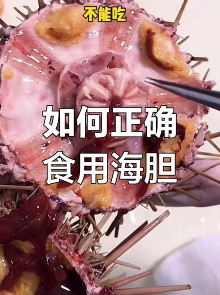 海胆为什么那么难吃_海胆腥味重怎么办-第1张图片-山城妙识 海胆为什么那么难吃_海胆腥味重怎么办-第1张图片-山城妙识
