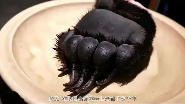 熊掌的做法_熊掌怎么做好吃-第3张图片-山城妙识 熊掌的做法_熊掌怎么做好吃-第3张图片-山城妙识