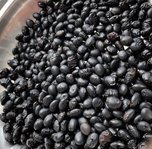 吃醋泡黑豆多久白发变黑_真的有效吗-第1张图片-山城妙识