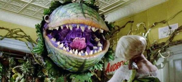 食人花真的吃人吗_食人花长什么样子-第1张图片-山城妙识