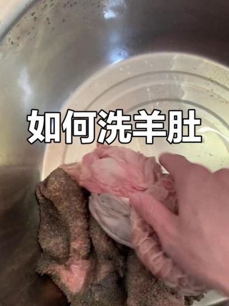 羊肚怎么清洗_羊肚清洗方法视频-第1张图片-山城妙识