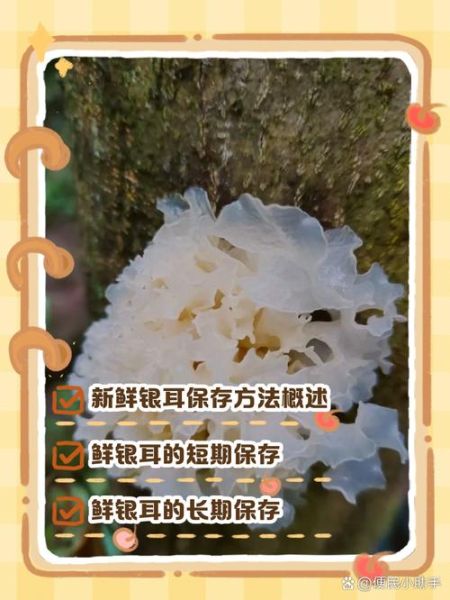 新鲜银耳吃前怎么处理_新鲜银耳怎么清洗-第1张图片-山城妙识 新鲜银耳吃前怎么处理_新鲜银耳怎么清洗-第1张图片-山城妙识