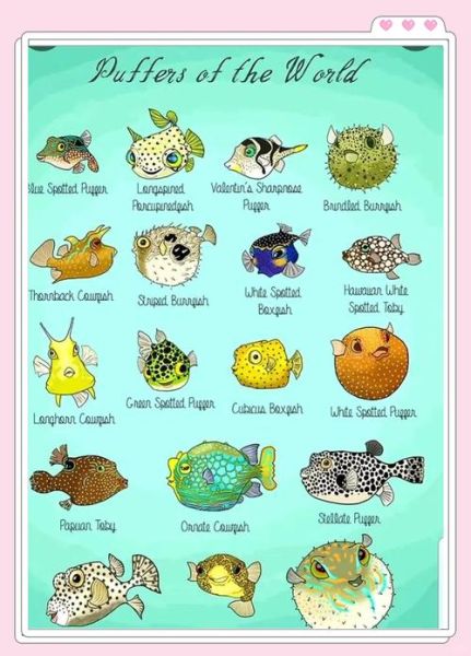 河豚是海里的还是河里的_淡水河豚与海水河豚区别-第3张图片-山城妙识 河豚是海里的还是河里的_淡水河豚与海水河豚区别-第3张图片-山城妙识