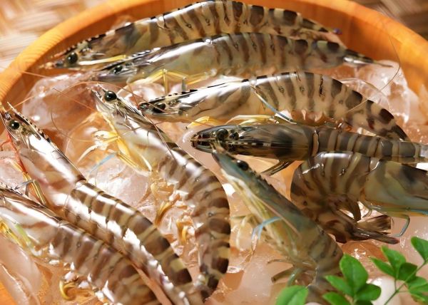 基围虾图片大全_如何挑选最新鲜的基围虾-第1张图片-山城妙识 基围虾图片大全_如何挑选最新鲜的基围虾-第1张图片-山城妙识