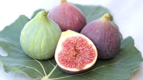 孕妇补血的水果有哪些_孕妇补血吃什么水果好-第2张图片-山城妙识 孕妇补血的水果有哪些_孕妇补血吃什么水果好-第2张图片-山城妙识