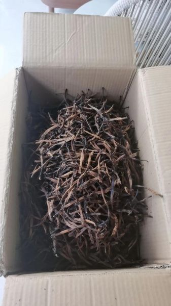 黄花菜变黑还能吃吗_变黑原因及安全判断-第1张图片-山城妙识 黄花菜变黑还能吃吗_变黑原因及安全判断-第1张图片-山城妙识