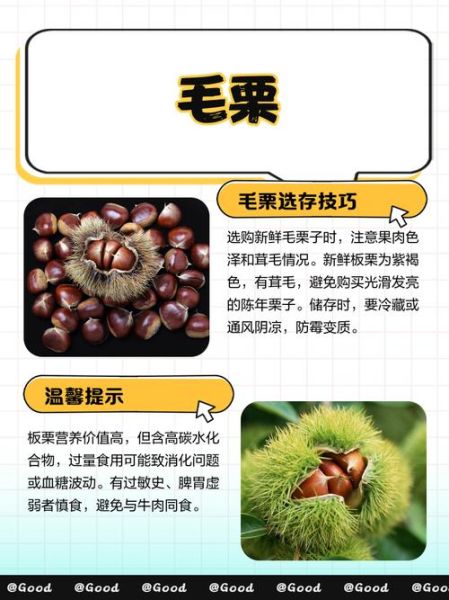 毛栗子热量高吗_毛栗子减肥能吃吗-第1张图片-山城妙识