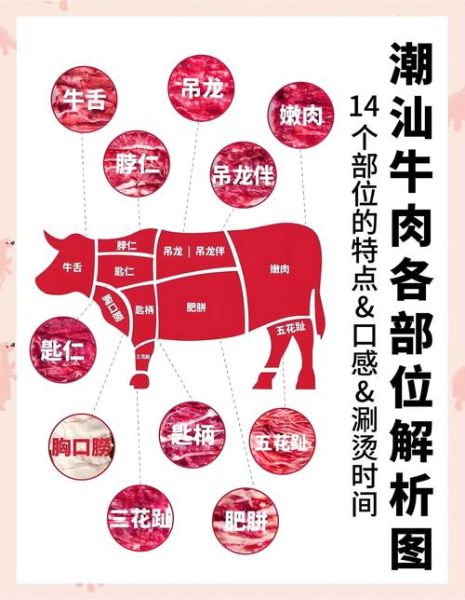 潮汕火锅哪里正宗_潮汕牛肉火锅怎么选部位-第1张图片-山城妙识 潮汕火锅哪里正宗_潮汕牛肉火锅怎么选部位-第1张图片-山城妙识