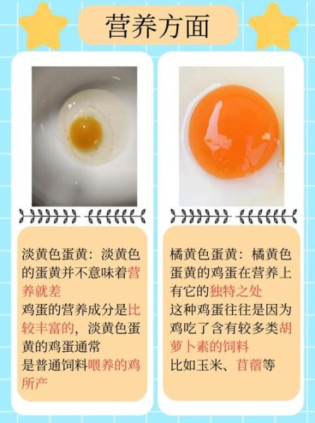 一个鸡蛋黄的热量_减肥能吃蛋黄吗-第3张图片-山城妙识 一个鸡蛋黄的热量_减肥能吃蛋黄吗-第3张图片-山城妙识