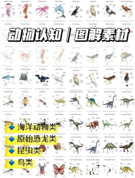 300种动物名称大全_如何快速记忆-第3张图片-山城妙识