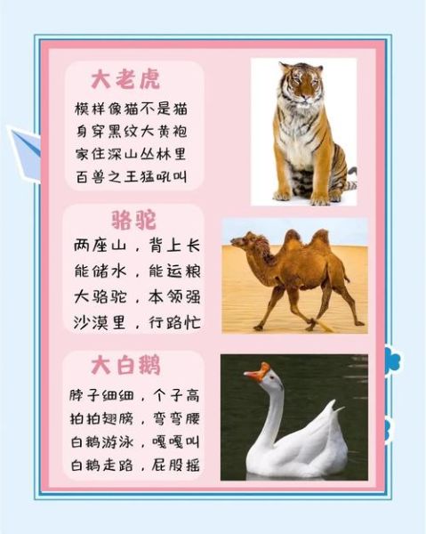 300种动物名称大全_如何快速记忆-第2张图片-山城妙识