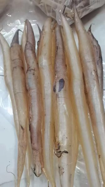 鱼肚煲汤的做法大全_鱼肚煲汤怎么做好吃-第1张图片-山城妙识