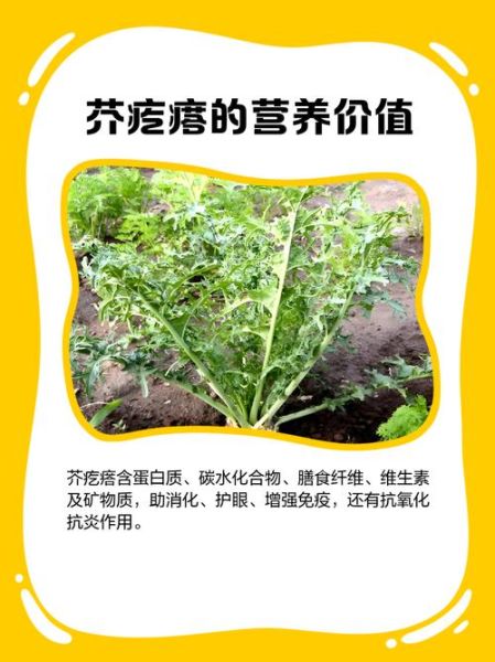 芥子毒气中毒症状_芥子毒气防护方法-第1张图片-山城妙识