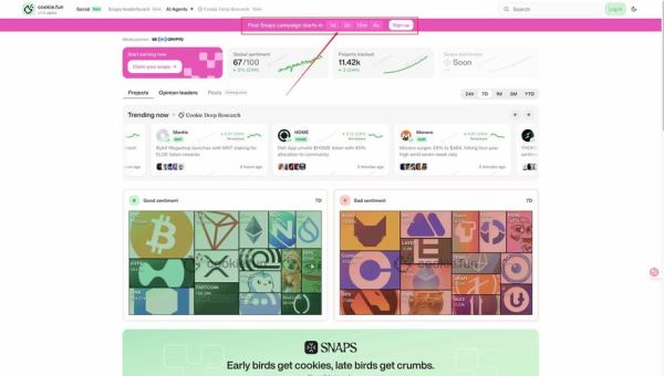 how_to_make_cookies_from_scratch_what_is_cookie_dough-第1张图片-山城妙识