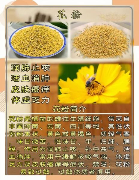 花粉的功效与作用_花粉的禁忌人群有哪些-第2张图片-山城妙识 花粉的功效与作用_花粉的禁忌人群有哪些-第2张图片-山城妙识