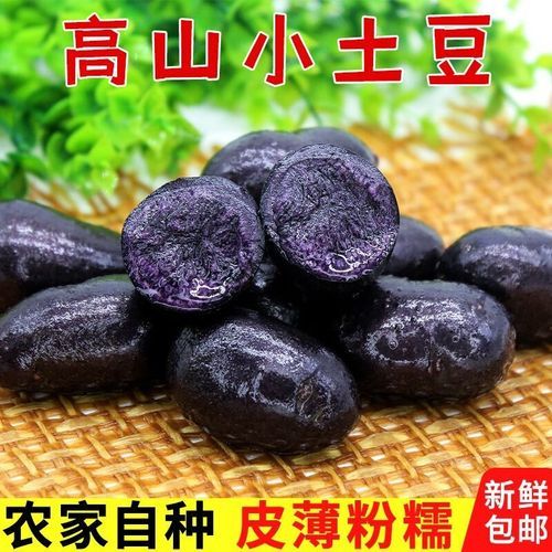 黑美人土豆多少钱一斤_黑美人土豆价格行情-第2张图片-山城妙识 黑美人土豆多少钱一斤_黑美人土豆价格行情-第2张图片-山城妙识