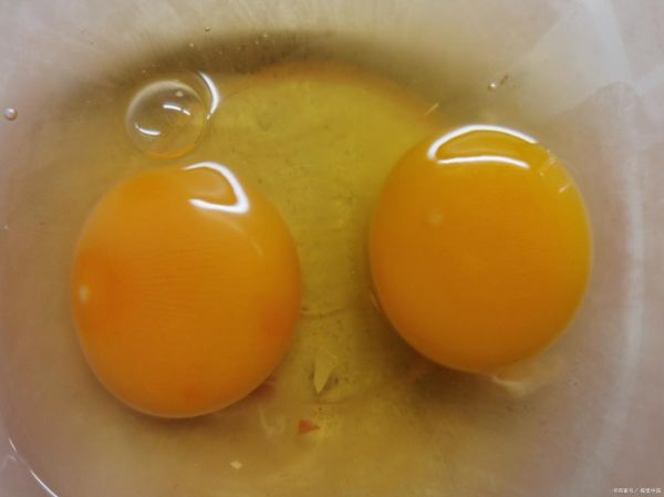 鸡蛋返生实验_是真的吗-第3张图片-山城妙识 鸡蛋返生实验_是真的吗-第3张图片-山城妙识