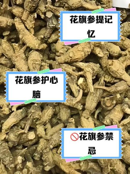 花旗参茶的功效与作用_花旗参茶怎么喝-第1张图片-山城妙识 花旗参茶的功效与作用_花旗参茶怎么喝-第1张图片-山城妙识
