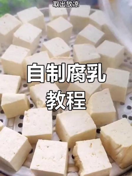 豆腐乳怎么做_家庭自制豆腐乳方法-第2张图片-山城妙识