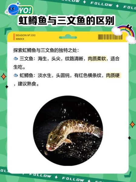 虹鳟鱼什么人不能吃_痛风患者能吃吗-第1张图片-山城妙识 虹鳟鱼什么人不能吃_痛风患者能吃吗-第1张图片-山城妙识