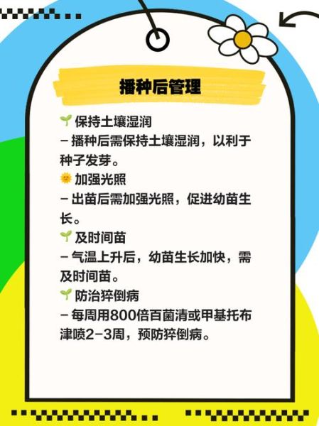 长春花种子怎么种_长春花种子发芽温度-第1张图片-山城妙识