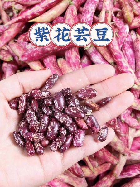 花芸豆怎么吃_花芸豆的做法大全-第2张图片-山城妙识
