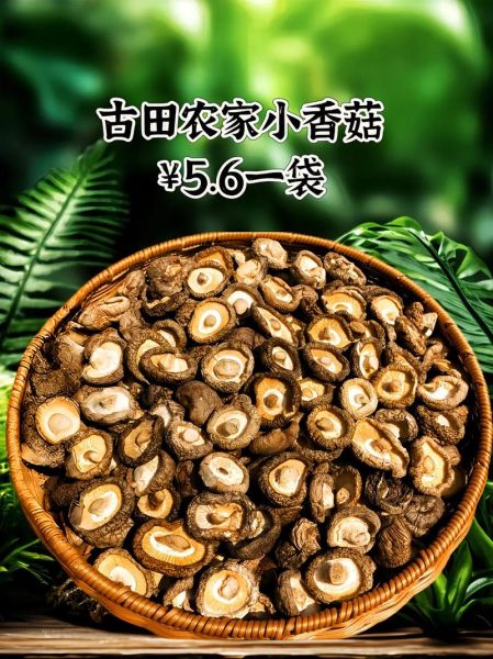 香菇产地哪里最好_如何挑选优质香菇-第1张图片-山城妙识 香菇产地哪里最好_如何挑选优质香菇-第1张图片-山城妙识