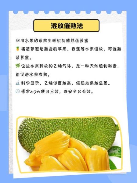 菠萝蜜一次吃太多会怎样_吃多后多久能缓解-第1张图片-山城妙识