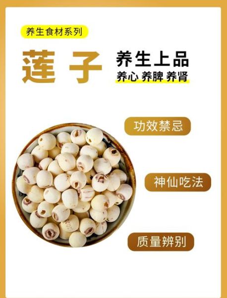 莲子怎么吃最养生_莲子功效与禁忌有哪些-第1张图片-山城妙识