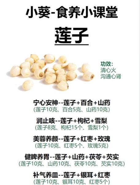 莲子怎么吃最养生_莲子功效与禁忌有哪些-第2张图片-山城妙识