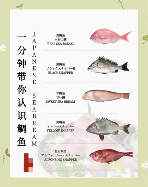 鲷鱼烧日语怎么读_鲷鱼烧为什么叫たい焼き-第2张图片-山城妙识 鲷鱼烧日语怎么读_鲷鱼烧为什么叫たい焼き-第2张图片-山城妙识