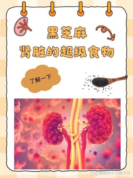 黑芝麻怎么吃最补肾_黑芝麻的神奇功效有哪些-第2张图片-山城妙识 黑芝麻怎么吃最补肾_黑芝麻的神奇功效有哪些-第2张图片-山城妙识