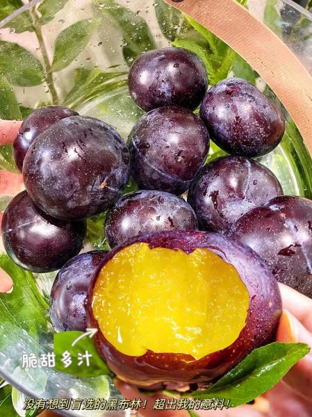 黑布林不能和什么一起吃_黑布林和什么食物相克-第2张图片-山城妙识