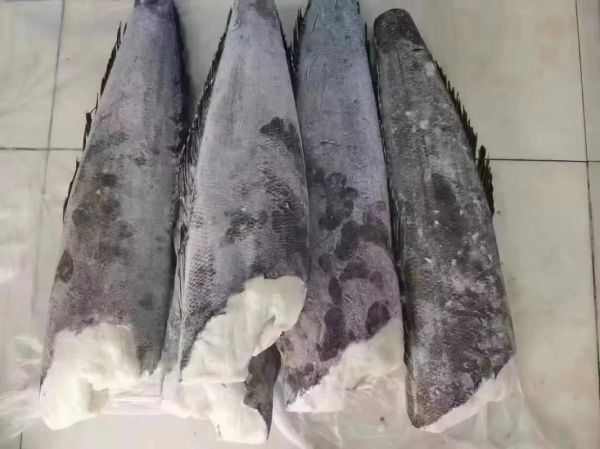 鳕鱼多少钱一斤_鳕鱼图片价格表-第2张图片-山城妙识