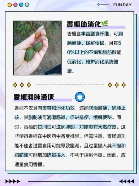 香榧子营养价值_香榧子食用禁忌-第3张图片-山城妙识 香榧子营养价值_香榧子食用禁忌-第3张图片-山城妙识