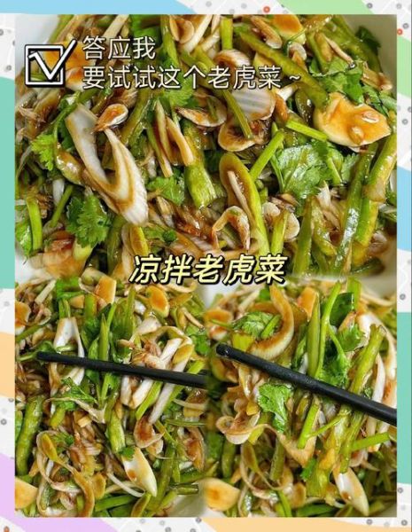老虎菜怎么做_老虎菜需要哪些配料-第3张图片-山城妙识 老虎菜怎么做_老虎菜需要哪些配料-第3张图片-山城妙识