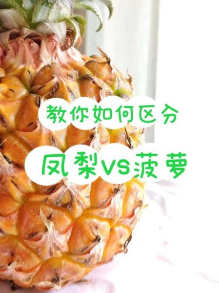 菠萝视频下载安装_如何安全获取最新版-第2张图片-山城妙识 菠萝视频下载安装_如何安全获取最新版-第2张图片-山城妙识
