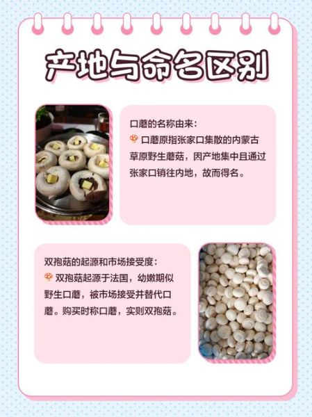 草菇长什么样_草菇和口蘑区别-第3张图片-山城妙识 草菇长什么样_草菇和口蘑区别-第3张图片-山城妙识