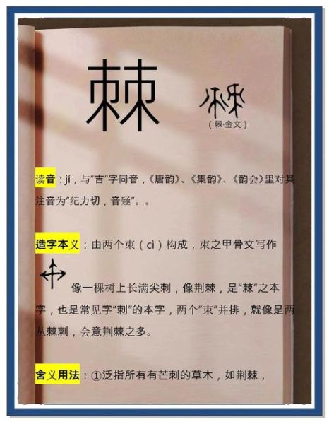 荆棘怎么读_荆棘是什么意思-第1张图片-山城妙识 荆棘怎么读_荆棘是什么意思-第1张图片-山城妙识