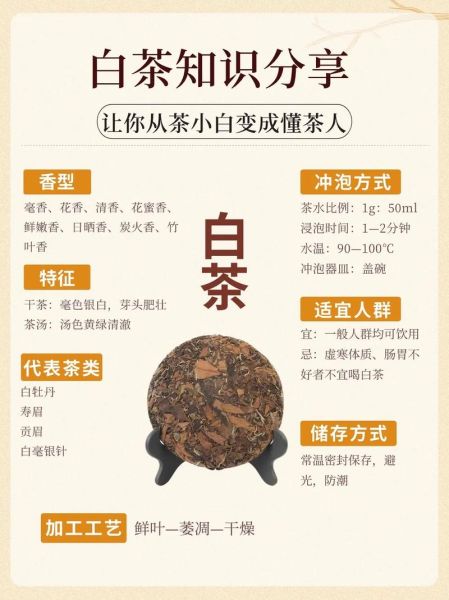 白茶的功效与作用及禁忌_白茶适合什么人喝-第3张图片-山城妙识 白茶的功效与作用及禁忌_白茶适合什么人喝-第3张图片-山城妙识