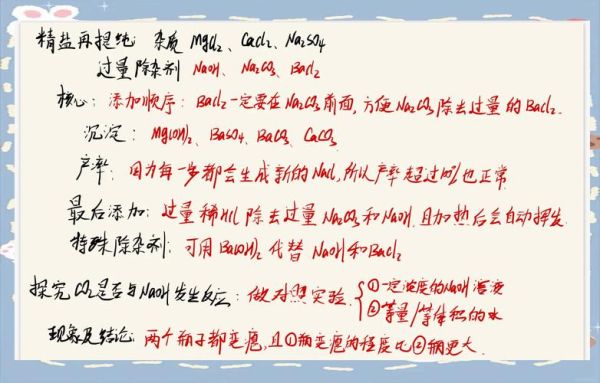 盐是怎么做的_现代制盐工艺流程-第3张图片-山城妙识