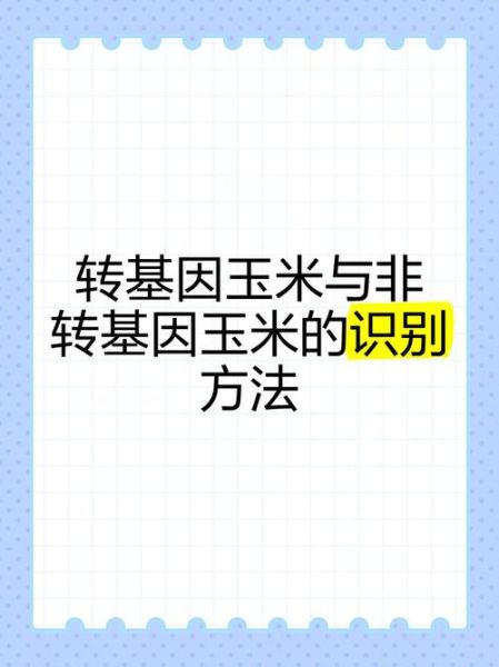 转基因玉米最简单的辨别_如何一眼识别转基因玉米-第2张图片-山城妙识