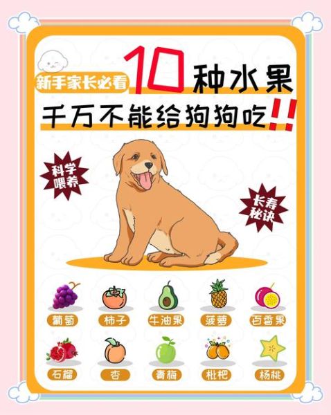狗肉不能和什么水果一起吃_吃狗肉后多久能吃水果-第1张图片-山城妙识
